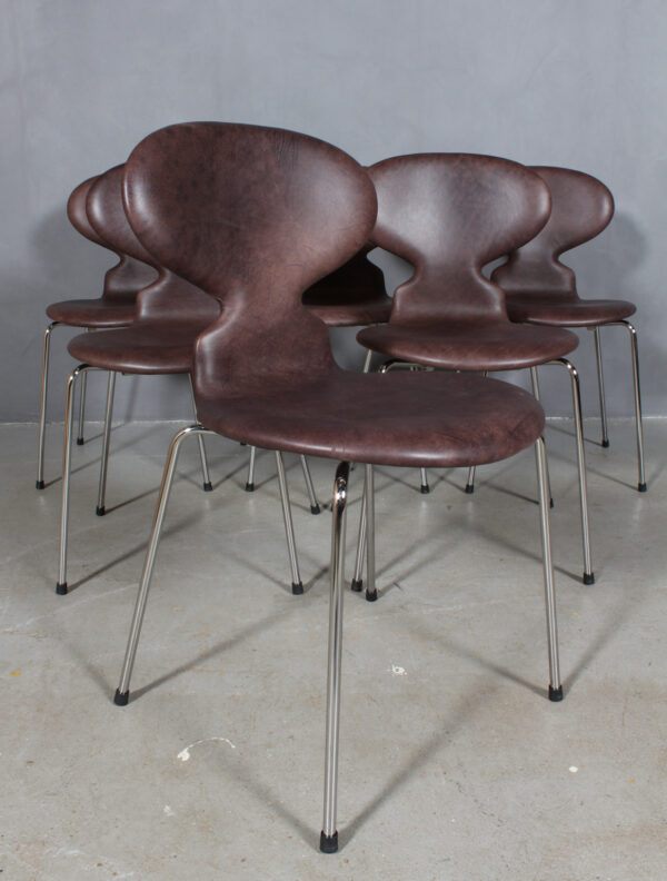 Arne Jacobsen. Myren spisestole, model 3101 (6) - Another Classic